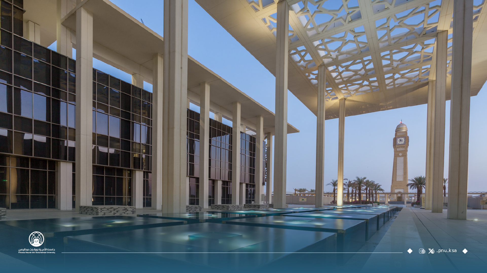 الصفحات - التفاصيل